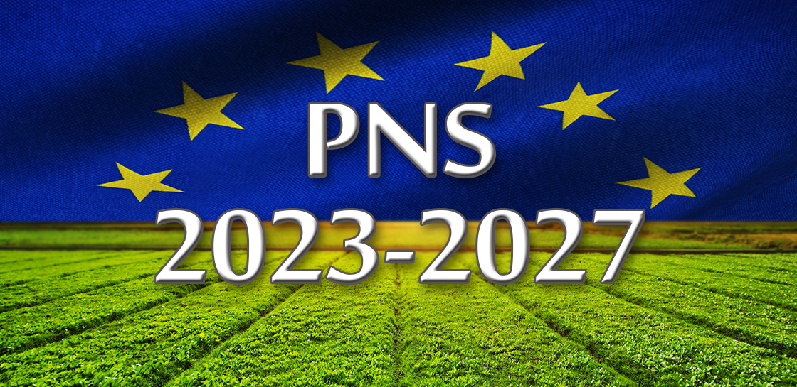 National Strategic Plan 2023-2027 - AFIR